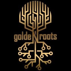 Golden Roots最新价格_Golden Roots半小时最新行情走势 - 币界网